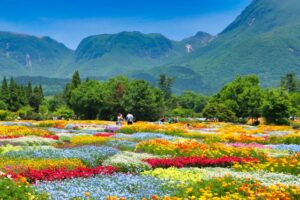 大分県が推進しているインバウンド対策とは？独自施策や課題も解説 - Bizcan